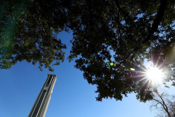 UCR Bell Tower seen from a below and a sunburst in the trees ...